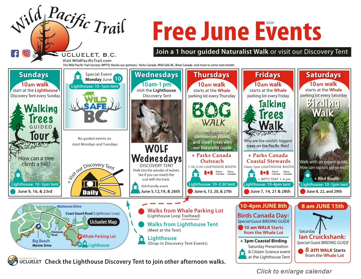 Wild Pacific Trail's educational programs and videos for all ages