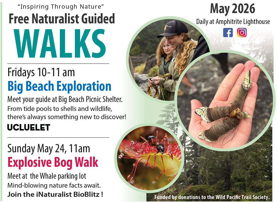 Wild Pacific Trail's educational programs and videos for all ages