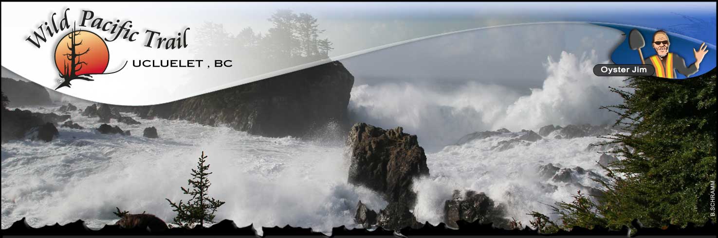 Ucluelet's Wild Pacific Trail Official Website homepage